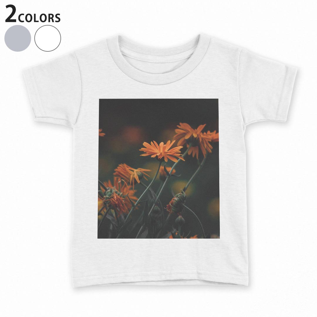 tシャツ キッズ 半袖 白地 灰色 ホワイト グレー デザイン 90 100 110 120 130 140 150 Tシャツ ティーシャツ T shirt上記で使用したデザインTシャツはこちら▼キッズ用Tシャツ　グレー・ホワイト全デザイン...