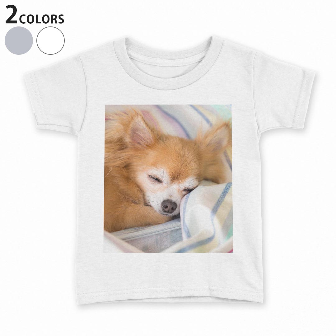 tシャツ キッズ 半袖 白地 灰色 ホワイト グレー デザイン 90 100 110 120 130 140 150 Tシャツ ティーシャツ T shirt上記で使用したデザインTシャツはこちら▼キッズ用Tシャツ　グレー・ホワイト全デザイン...