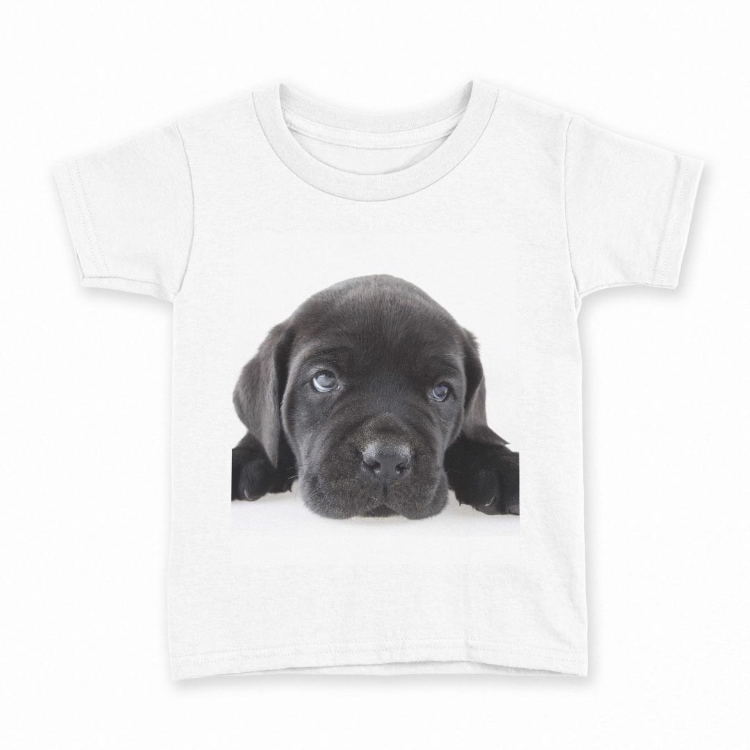 tシャツ キッズ 半袖 白地 灰色 ホワイト グレー デザイン 90 Tシャツ ティーシャツ T shirt上記で使用したデザインTシャツはこちら同じデザインの各サイズはこちらから▼　▼　▼　▼　▼ ▼キッズ用Tシャツ　グレー・ホワイト全デ...