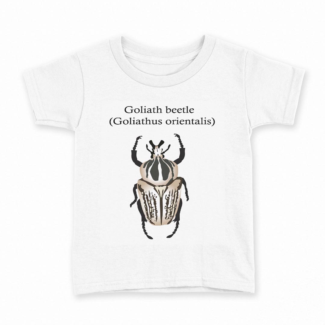 tシャツ キッズ 半袖 白地 灰色 ホワイト グレー デザイン 90 Tシャツ ティーシャツ T shirt上記で使用したデザインTシャツはこちら同じデザインの各サイズはこちらから▼　▼　▼　▼　▼ ▼キッズ用Tシャツ　グレー・ホワイト全デ...