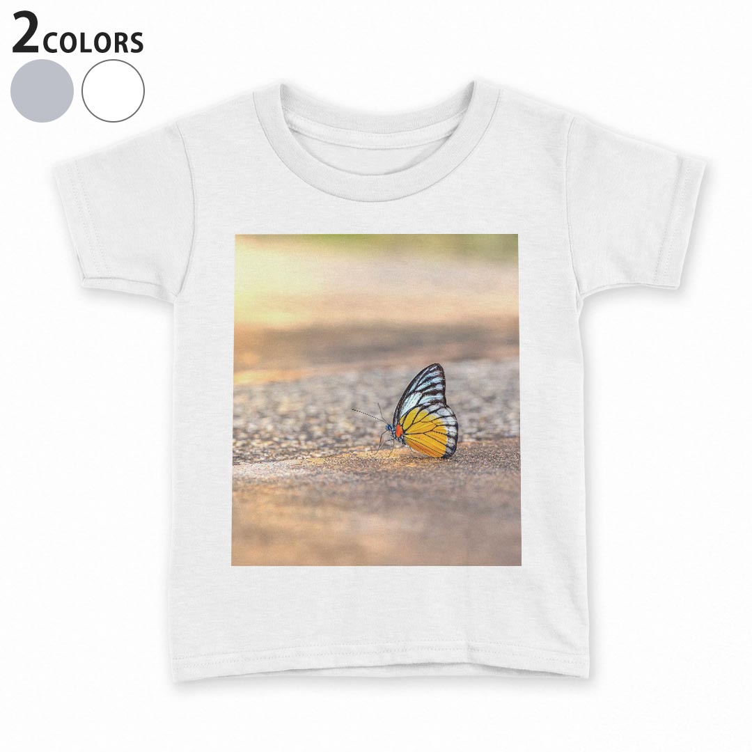 tシャツ キッズ 半袖 白地 灰色 ホワイト グレー デザイン 90 Tシャツ ティーシャツ T shirt上記で使用したデザインTシャツはこちら同じデザインの各サイズはこちらから▼　▼　▼　▼　▼ ▼キッズ用Tシャツ　グレー・ホワイト全デ...
