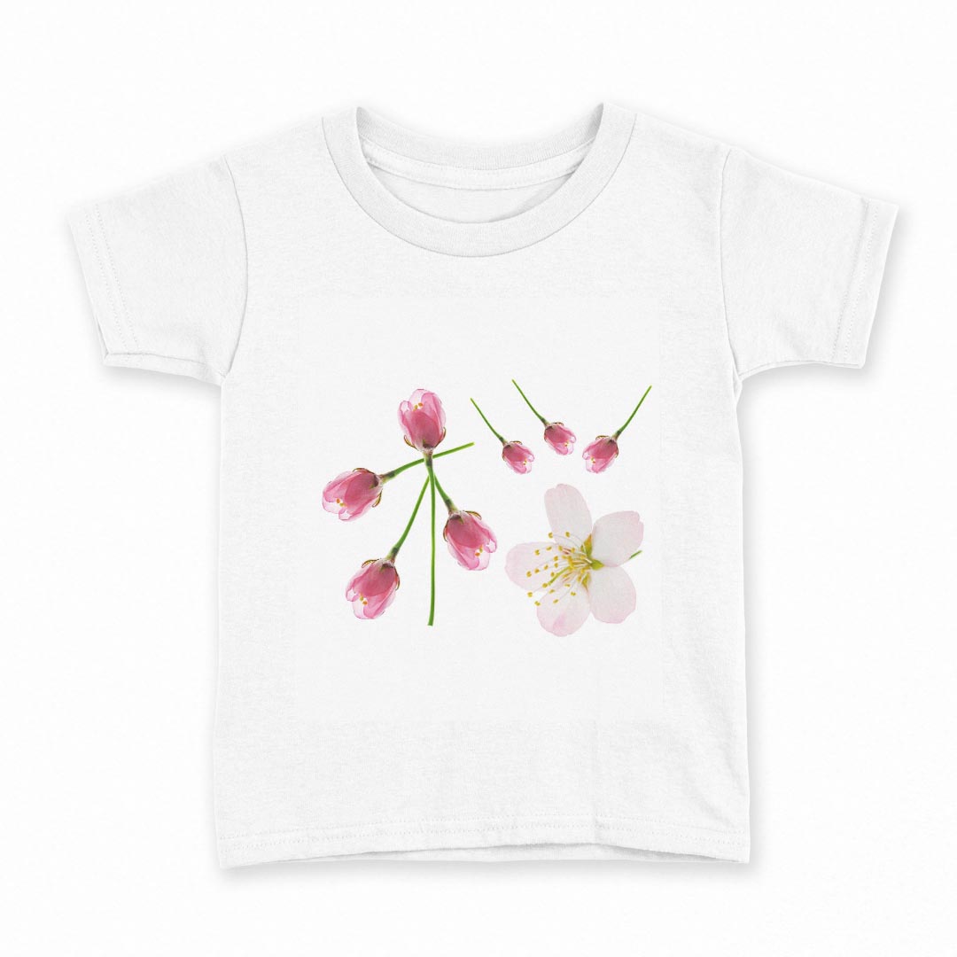 tシャツ キッズ 半袖 白地 灰色 ホワイト グレー デザイン 90 Tシャツ ティーシャツ T shirt上記で使用したデザインTシャツはこちら同じデザインの各サイズはこちらから▼　▼　▼　▼　▼ ▼キッズ用Tシャツ　グレー・ホワイト全デ...