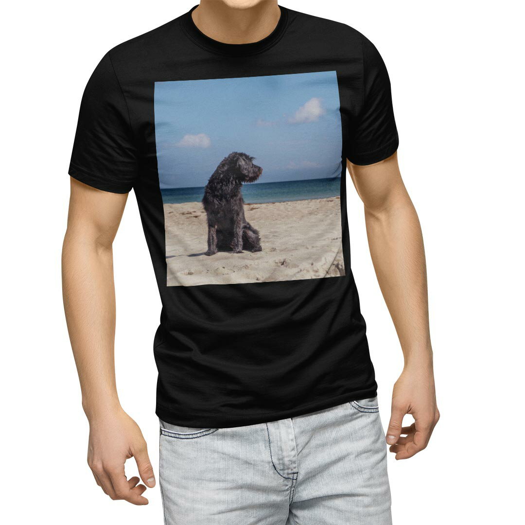 tシャツ メンズ 半袖 ブラック デザイン XS S M L XL 2XL Tシャツ ティーシャツ T shirt　黒 上記で使用したデザインTシャツはこちら▼男性用半袖Tシャツ　ブラック全デザインはこちらから▼▼男性用半袖Tシャツ　ホワイ...