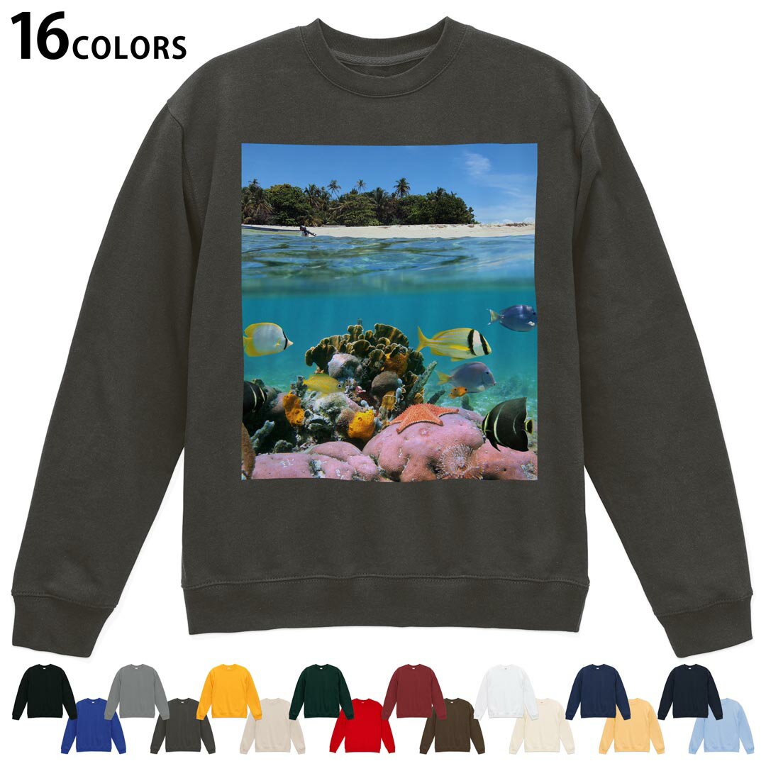 トレーナー メンズ レディース 男性 女性 長袖 ホワイト グレー ブラック チャコール 茶色 レッド　赤 バーガンディ ダークブラウン　オレンジ アイビーグリーン 緑 ゴールド 黄色 ライトピンク ピンク ロイヤルブルー　ネイビー パープ...
