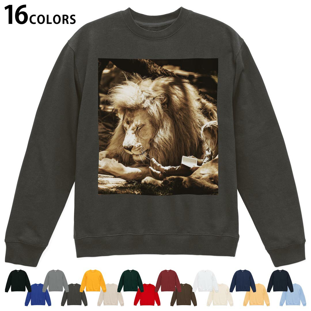 トレーナー メンズ レディース 男性 女性 長袖 ホワイト グレー ブラック チャコール 茶色 レッド　赤 バーガンディ ダークブラウン　オレンジ アイビーグリーン 緑 ゴールド 黄色 ライトピンク ピンク ロイヤルブルー　ネイビー パープ...