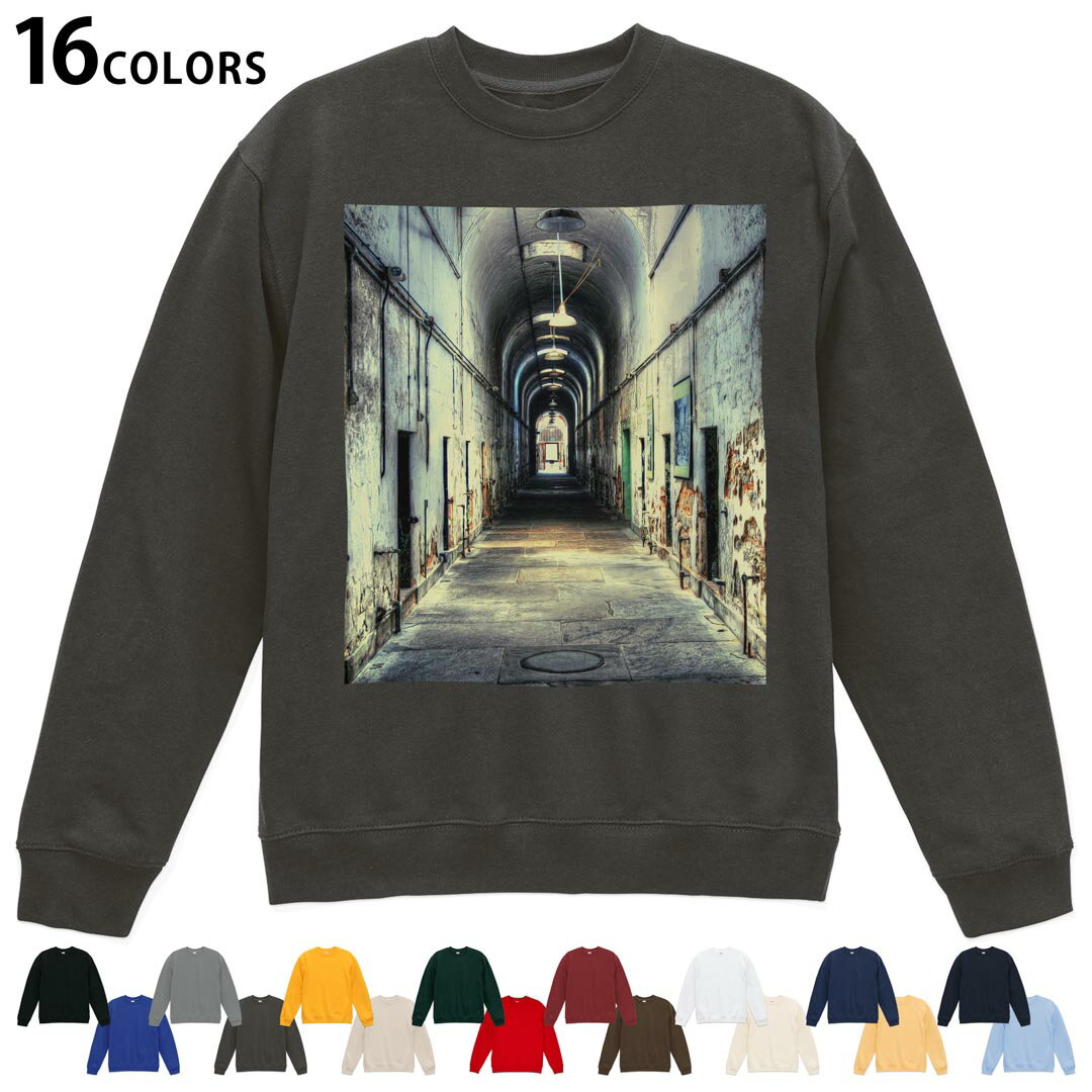 トレーナー メンズ レディース 男性 女性 長袖 ホワイト グレー ブラック チャコール 茶色 レッド　赤 バーガンディ ダークブラウン　オレンジ アイビーグリーン 緑 ゴールド 黄色 ライトピンク ピンク ロイヤルブルー　ネイビー パープ...