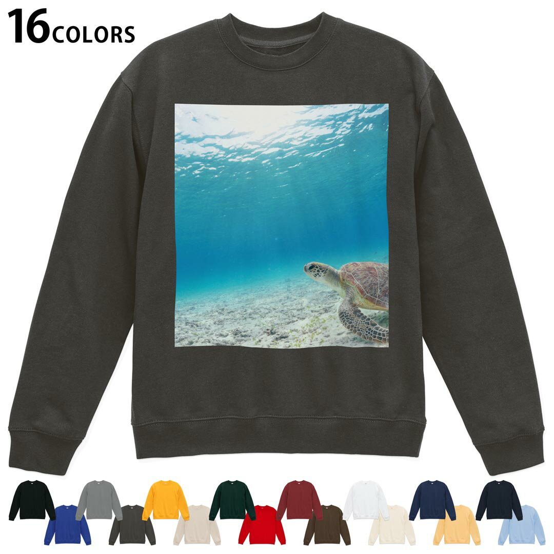 トレーナー メンズ レディース 男性 女性 長袖 ホワイト グレー ブラック チャコール 茶色 レッド　赤 バーガンディ ダークブラウン　オレンジ アイビーグリーン 緑 ゴールド 黄色 ライトピンク ピンク ロイヤルブルー　ネイビー パープ...