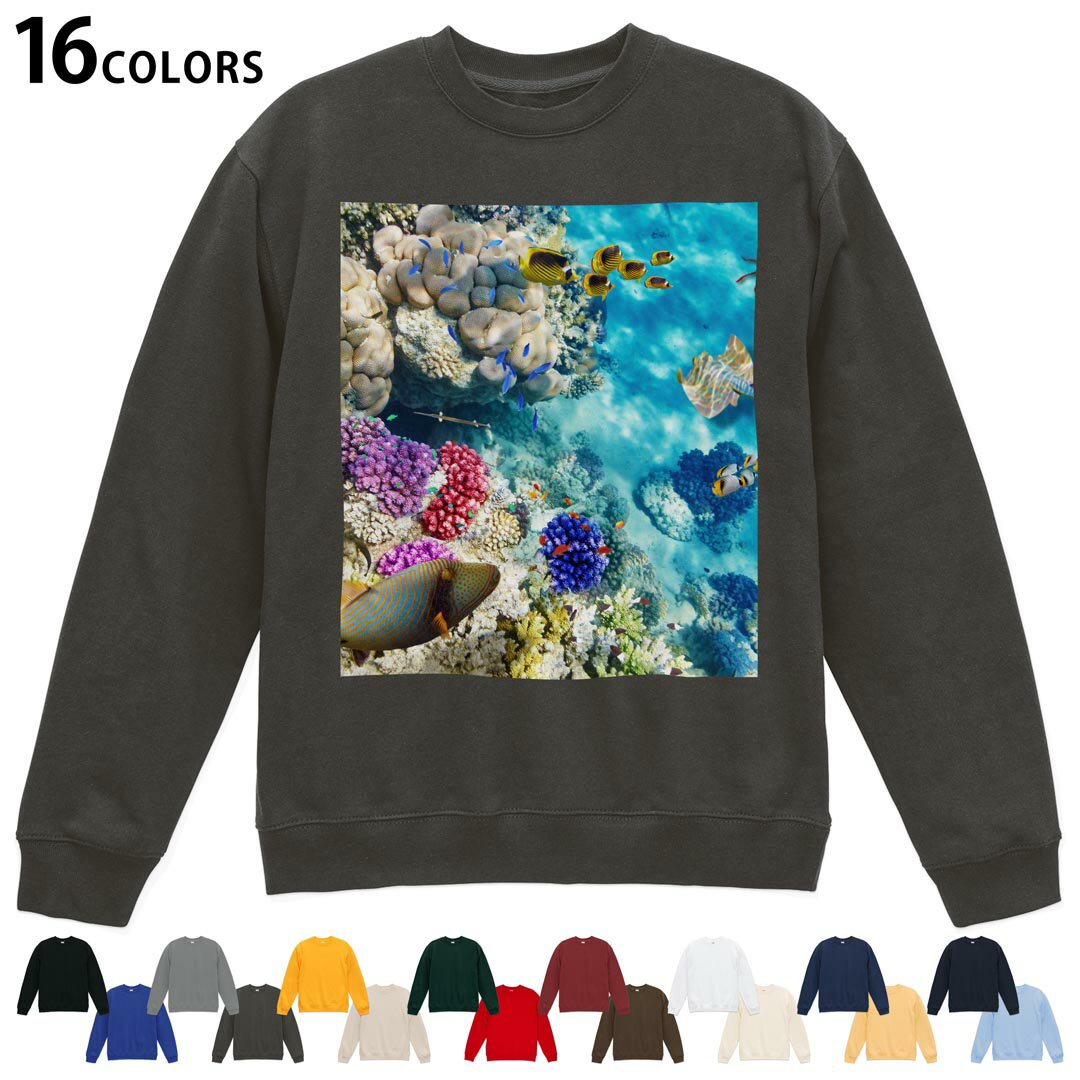 トレーナー メンズ レディース 男性 女性 長袖 ホワイト グレー ブラック チャコール 茶色 レッド　赤 バーガンディ ダークブラウン　オレンジ アイビーグリーン 緑 ゴールド 黄色 ライトピンク ピンク ロイヤルブルー　ネイビー パープ...