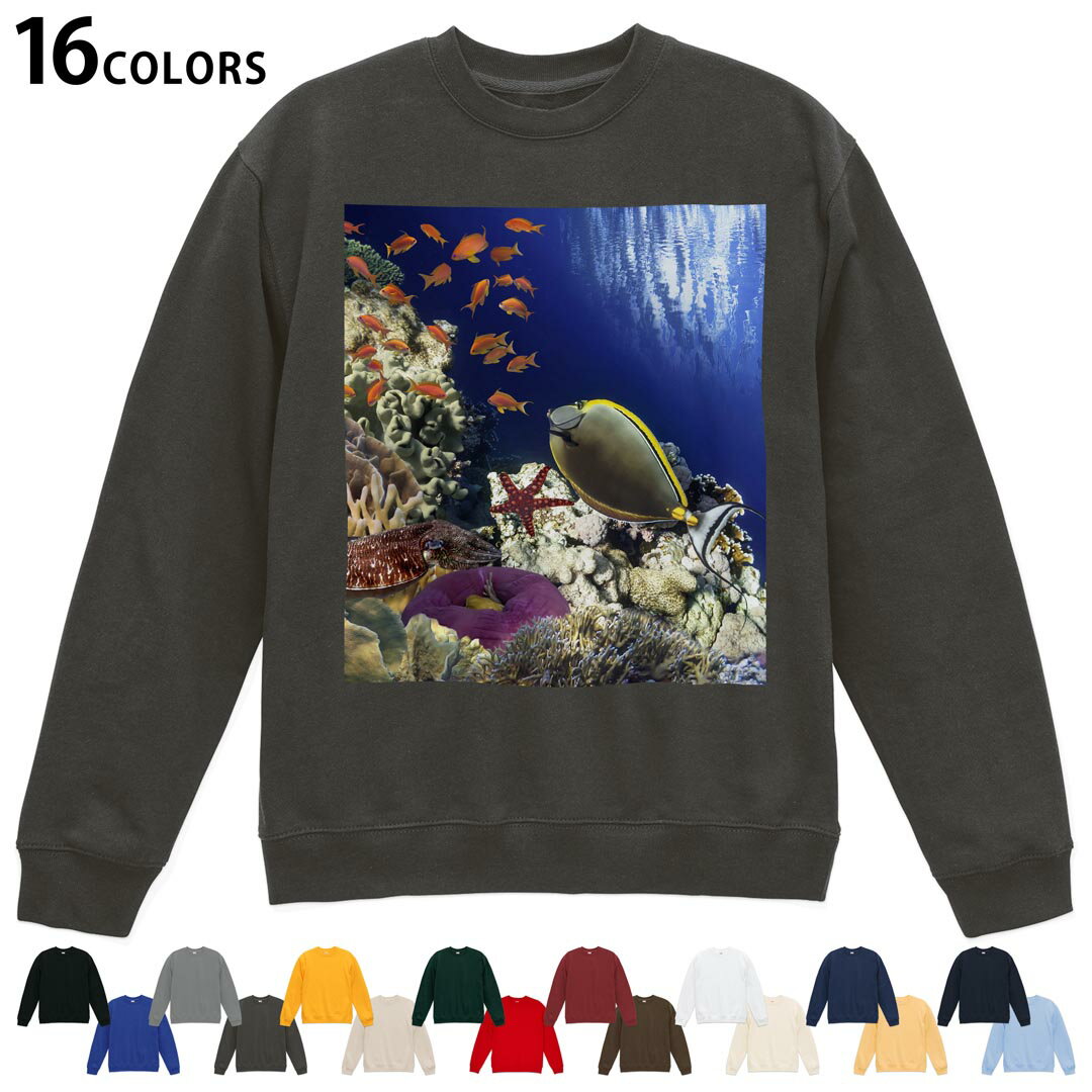 トレーナー メンズ レディース 男性 女性 長袖 ホワイト グレー ブラック チャコール 茶色 レッド　赤 バーガンディ ダークブラウン　オレンジ アイビーグリーン 緑 ゴールド 黄色 ライトピンク ピンク ロイヤルブルー　ネイビー パープ...
