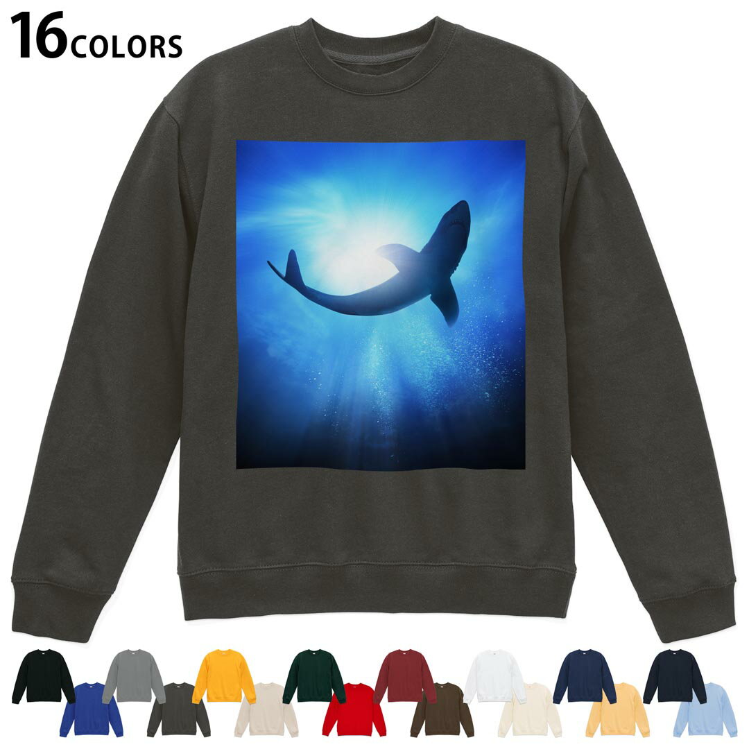 トレーナー メンズ レディース 男性 女性 長袖 ホワイト グレー ブラック チャコール 茶色 レッド　赤 バーガンディ ダークブラウン　オレンジ アイビーグリーン 緑 ゴールド 黄色 ライトピンク ピンク ロイヤルブルー　ネイビー パープ...