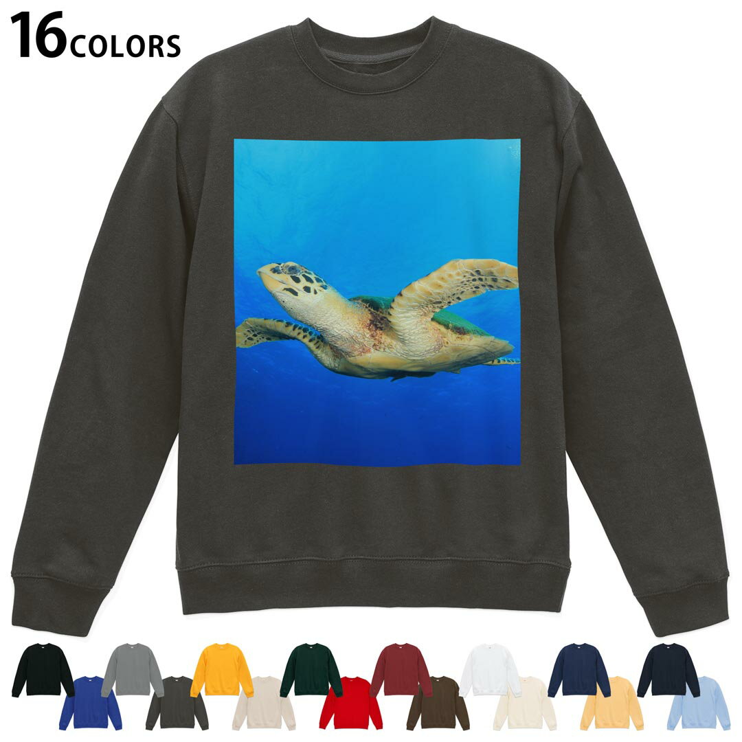 トレーナー メンズ レディース 男性 女性 長袖 ホワイト グレー ブラック チャコール 茶色 レッド　赤 バーガンディ ダークブラウン　オレンジ アイビーグリーン 緑 ゴールド 黄色 ライトピンク ピンク ロイヤルブルー　ネイビー パープ...