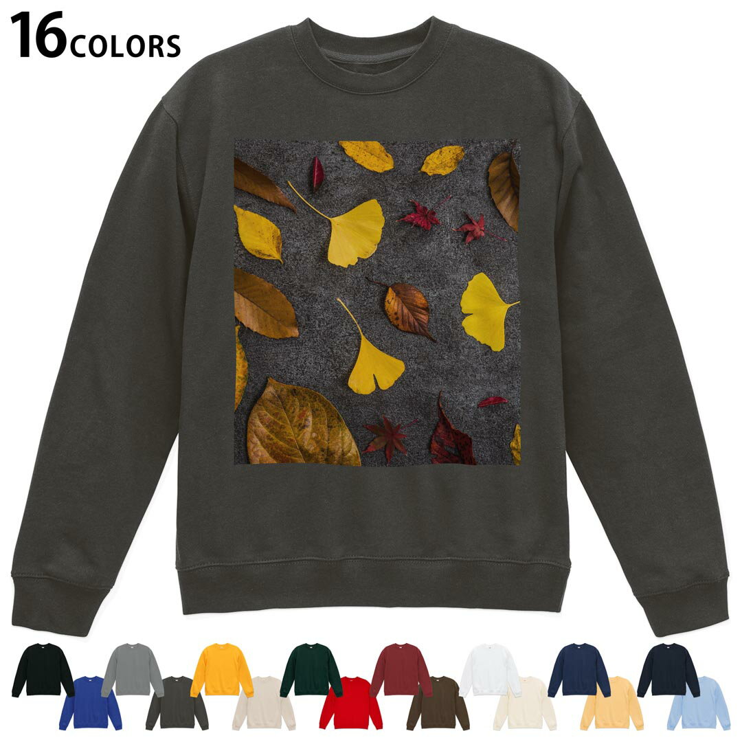 トレーナー メンズ レディース 男性 女性 長袖 ホワイト グレー ブラック チャコール 茶色 レッド　赤 バーガンディ ダークブラウン　オレンジ アイビーグリーン 緑 ゴールド 黄色 ライトピンク ピンク ロイヤルブルー　ネイビー パープ...