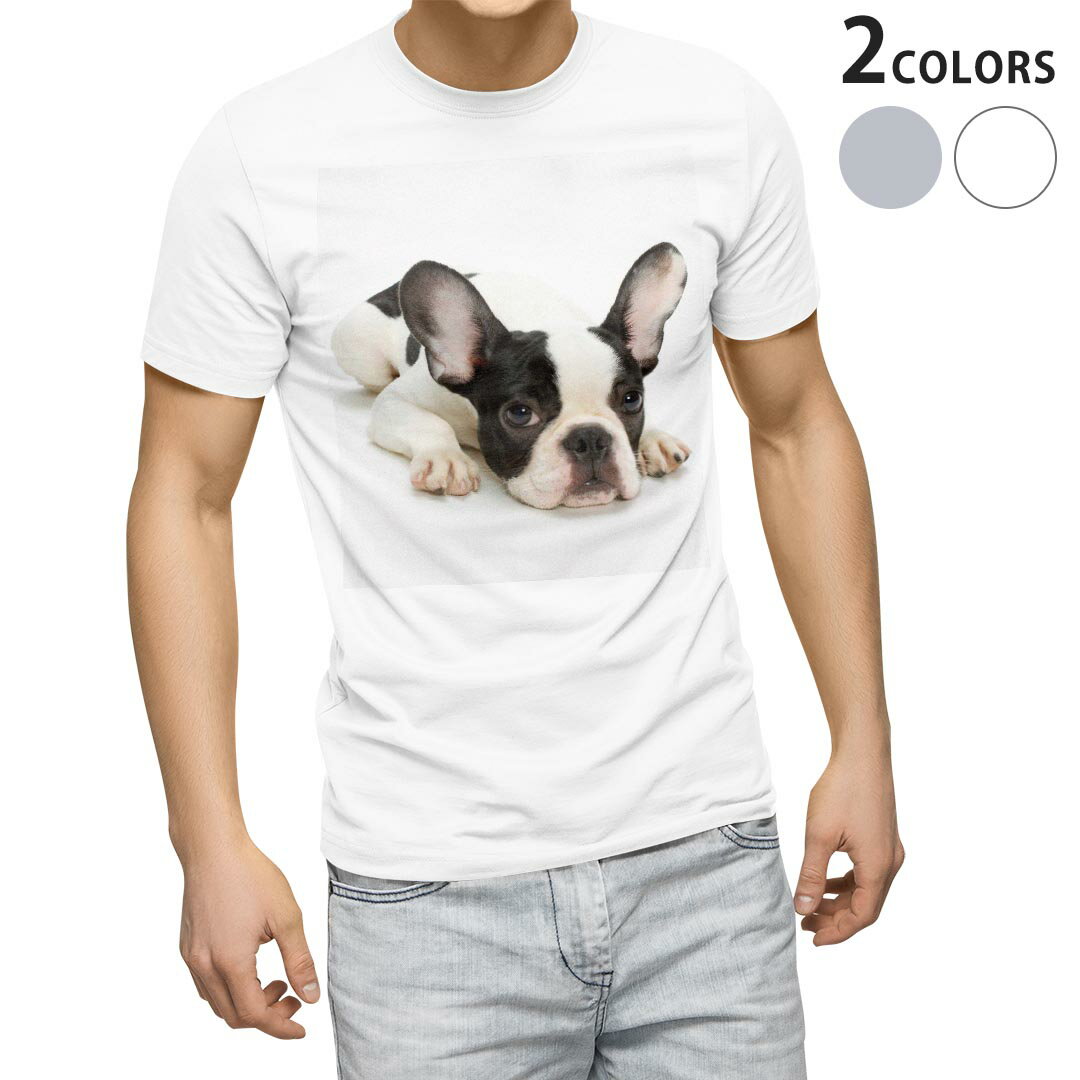 tシャツ メンズ 半袖 ホワイト グレー デザイン XS S M L XL 2XL Tシャツ ティーシャツ T shirt　白 灰色 上記で使用したデザインTシャツはこちらから 画像をクリックで商品へ▼男性用半袖Tシャツ　ホワイト・グレー全...