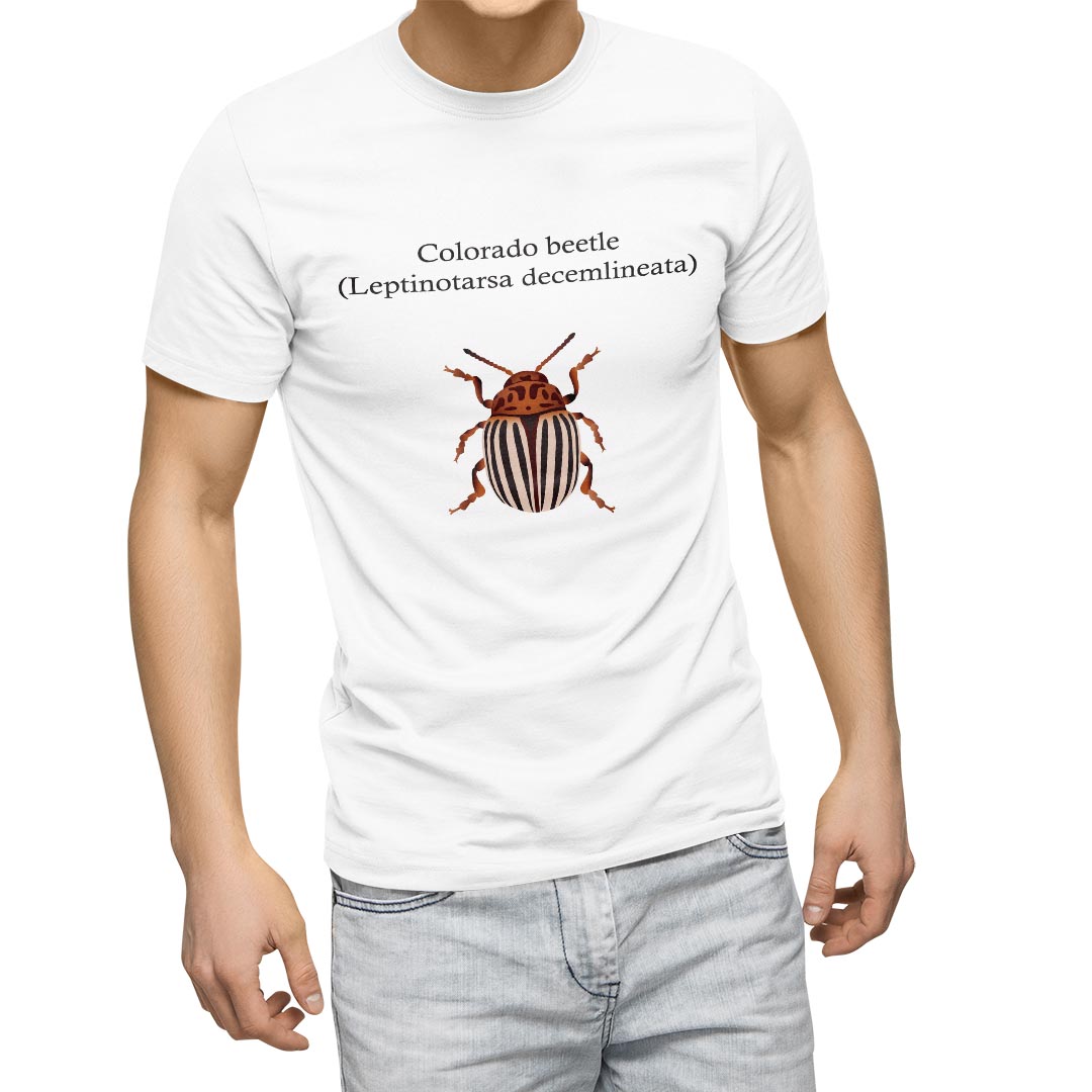 tシャツ メンズ 半袖 ホワイト グレー デザイン XS S M L XL 2XL Tシャツ ティーシャツ T shirt　白 灰色 上記で使用したデザインTシャツはこちらから 画像をクリックで商品へ▼男性用半袖Tシャツ　ホワイト・グレー全...