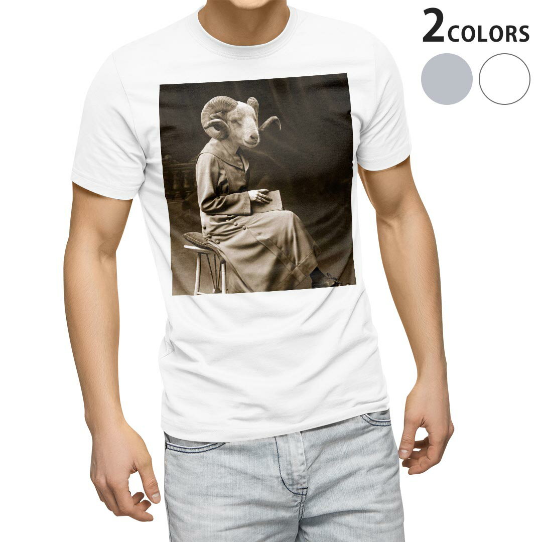 tシャツ メンズ 半袖 ホワイト グレー デザイン XS S M L XL 2XL Tシャツ ティーシャツ T shirt　白 灰色 上記で使用したデザインTシャツはこちらから 画像をクリックで商品へ▼男性用半袖Tシャツ　ホワイト・グレー全...