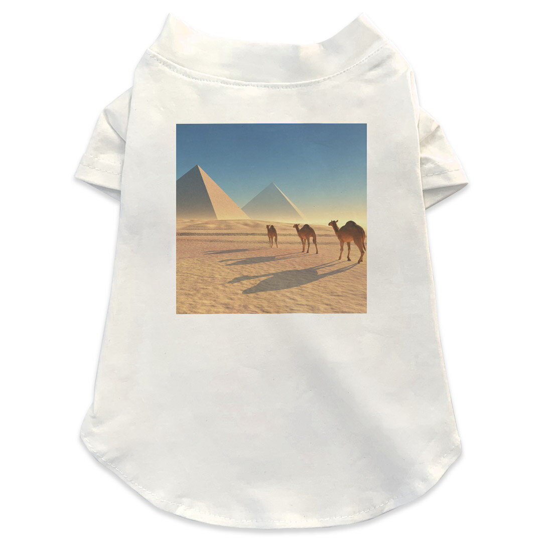 犬専用Tシャツ 選べる5size 小型犬 袖あり 半袖 ホワイト デザイン T shirt XS S M L XL ペットウェア ペット服 カジュアル おしゃれ コットン 綿商品特徴・袖ありペット用Tシャツ！・さらりとした触り心地のTシャツ...