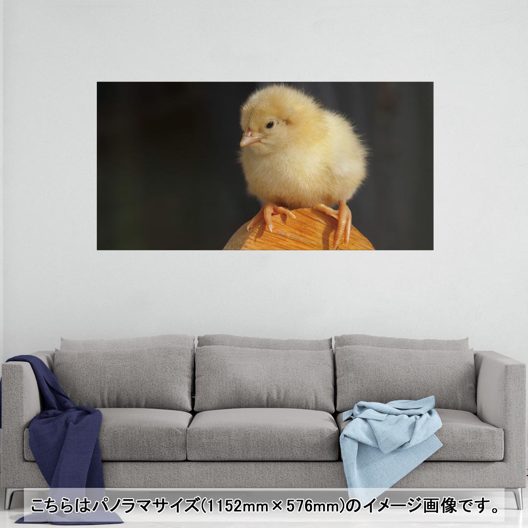 ポスター ウォールステッカー シール式ステッカー 飾り 1030×1456mm B0 写真 フォト 壁 インテリア おしゃれ 　剥がせる wall sticker poster売れ筋のデザインはこちら▼　▼　▼　▼　▼同じデザインの各サイズ...