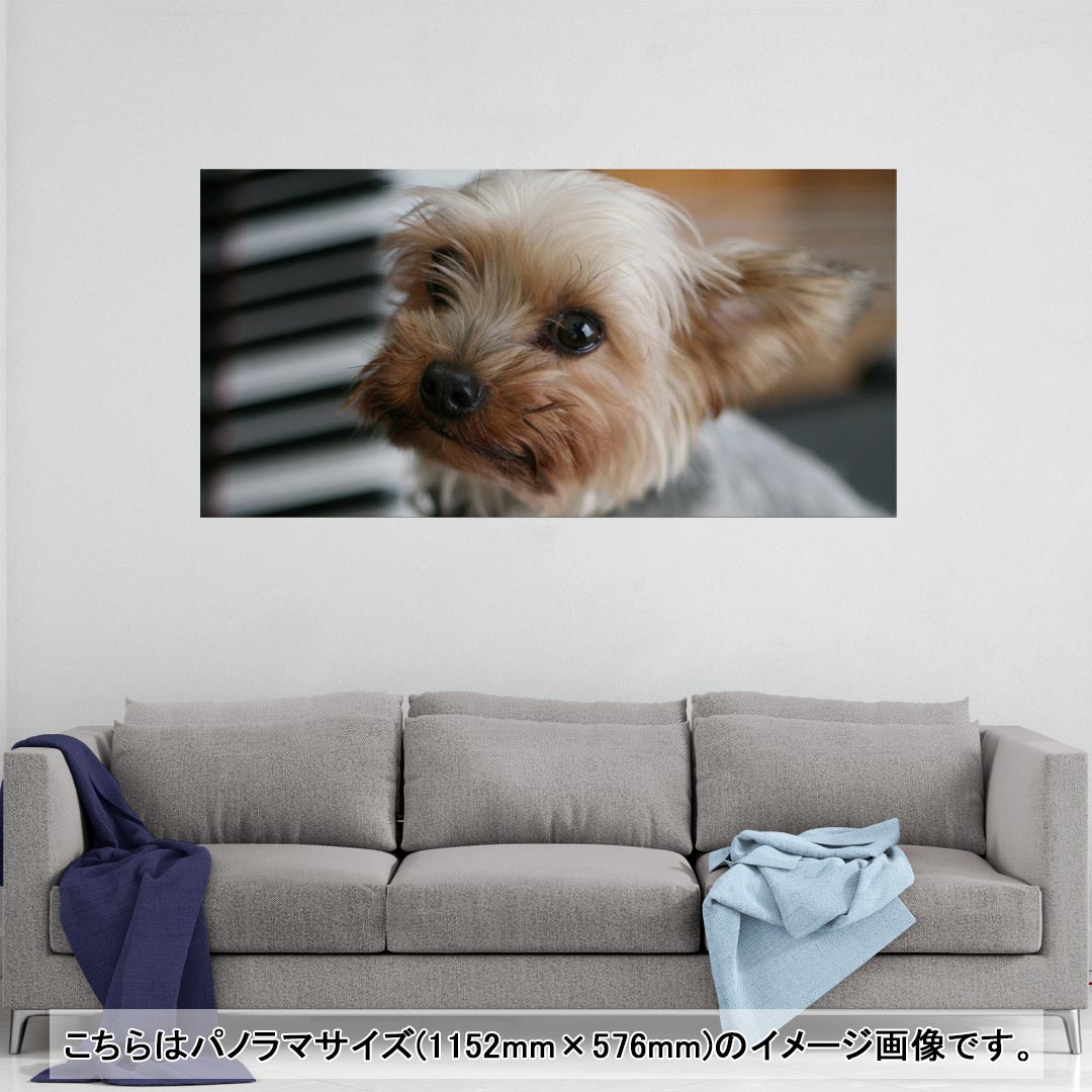 ポスター ウォールステッカー シール式ステッカー 飾り 1030×1456mm B0 写真 フォト 壁 インテリア おしゃれ 　剥がせる wall sticker poster売れ筋のデザインはこちら▼　▼　▼　▼　▼同じデザインの各サイズ...