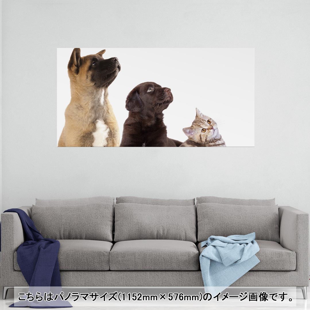 ポスター ウォールステッカー シール式ステッカー 飾り 1030×1456mm B0 写真 フォト 壁 インテリア おしゃれ 　剥がせる wall sticker poster売れ筋のデザインはこちら▼　▼　▼　▼　▼同じデザインの各サイズ...