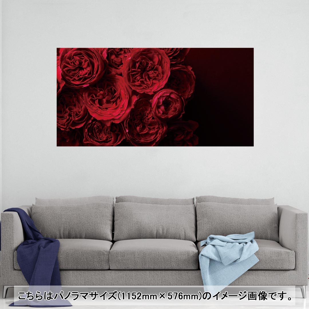 ポスター ウォールステッカー シール式ステッカー 飾り 1030×1456mm B0 写真 フォト 壁 インテリア おしゃれ 　剥がせる wall sticker poster売れ筋のデザインはこちら▼　▼　▼　▼　▼同じデザインの各サイズ...