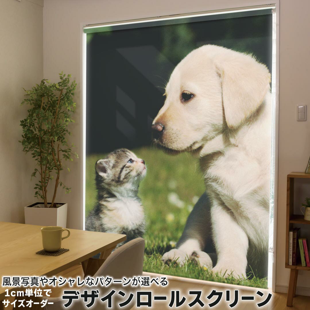 商品特徴・1cm単位でサイズオーダー可能なロールスクリーン・美しい写真やイラスト、パターンからデザインが選べる・操作方法や取付位置が選べるので様々な場面に対応注意事項【色味について】商品画像はサンプルですので、ご覧の環境によっては多少色味に...