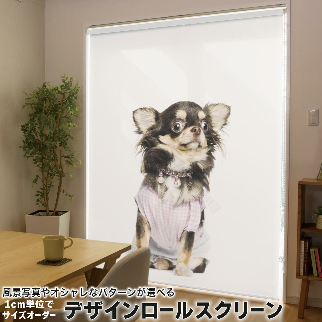 商品特徴・1cm単位でサイズオーダー可能なロールスクリーン・美しい写真やイラスト、パターンからデザインが選べる・操作方法や取付位置が選べるので様々な場面に対応注意事項【色味について】商品画像はサンプルですので、ご覧の環境によっては多少色味に...