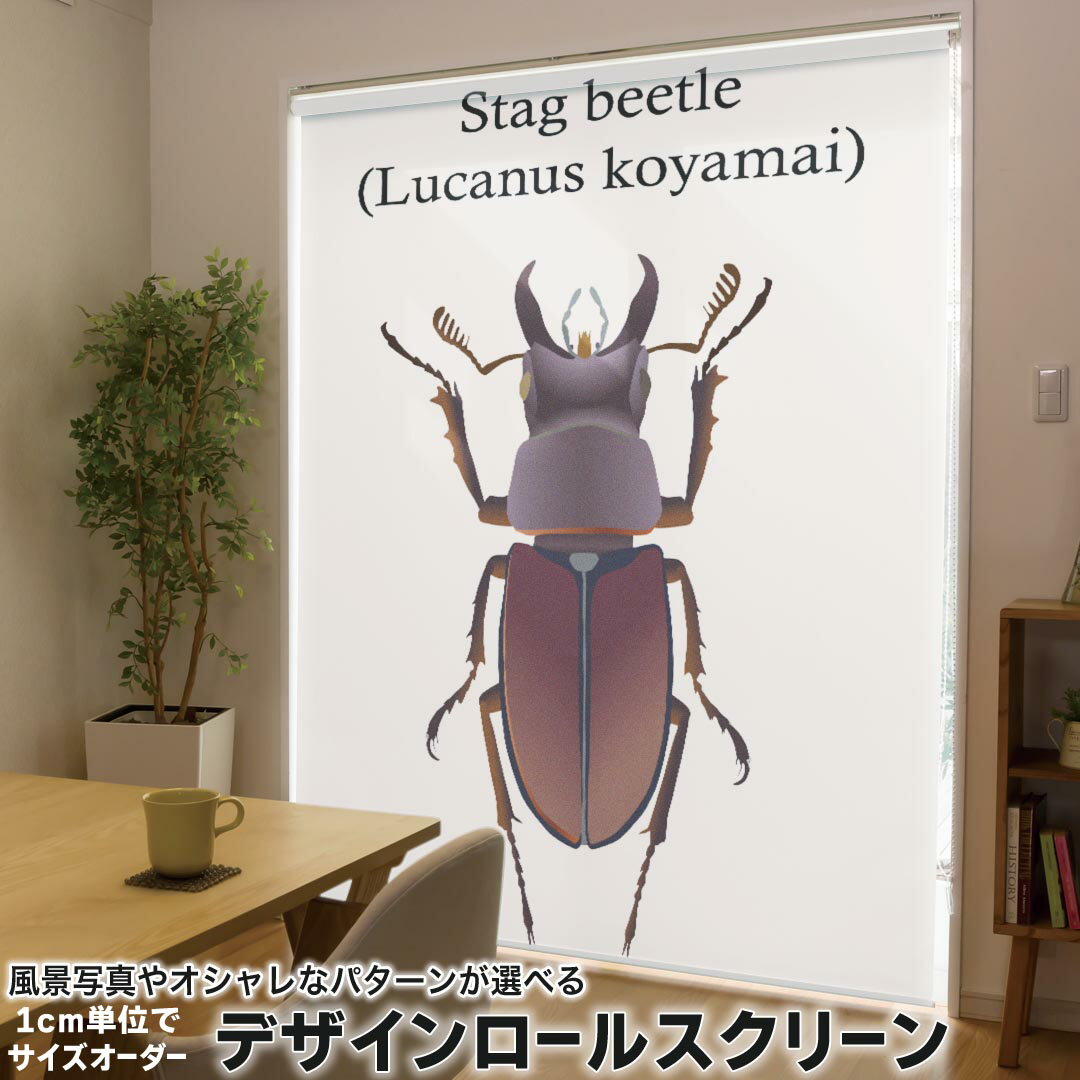 商品特徴・1cm単位でサイズオーダー可能なロールスクリーン・美しい写真やイラスト、パターンからデザインが選べる・操作方法や取付位置が選べるので様々な場面に対応注意事項【色味について】商品画像はサンプルですので、ご覧の環境によっては多少色味に...