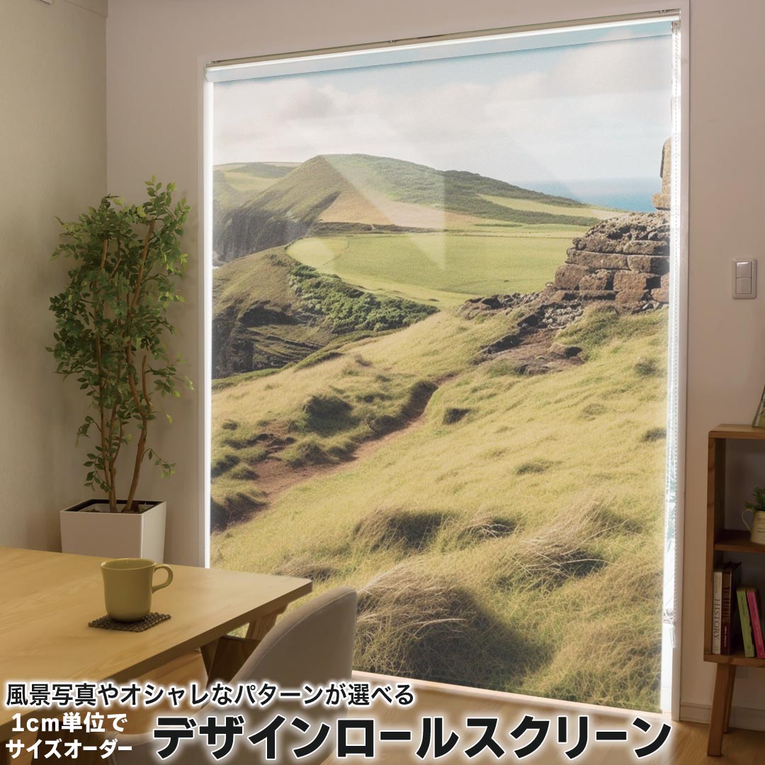 商品特徴・1cm単位でサイズオーダー可能なロールスクリーン・美しい写真やイラスト、パターンからデザインが選べる・操作方法や取付位置が選べるので様々な場面に対応注意事項【色味について】商品画像はサンプルですので、ご覧の環境によっては多少色味に...