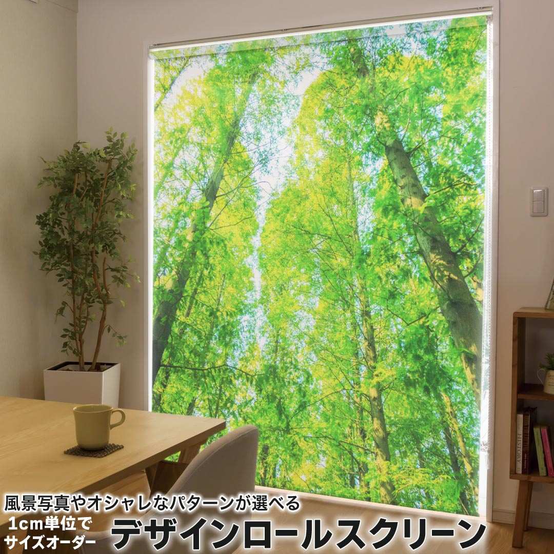 商品特徴・1cm単位でサイズオーダー可能なロールスクリーン・美しい写真やイラスト、パターンからデザインが選べる・操作方法や取付位置が選べるので様々な場面に対応注意事項【色味について】商品画像はサンプルですので、ご覧の環境によっては多少色味に...