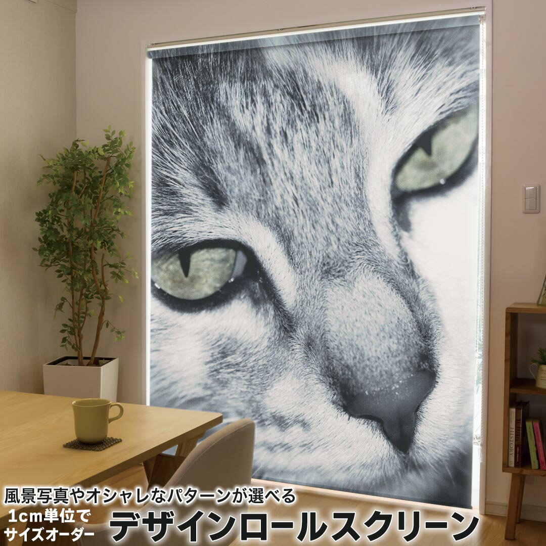 商品特徴・1cm単位でサイズオーダー可能なロールスクリーン・美しい写真やイラスト、パターンからデザインが選べる・操作方法や取付位置が選べるので様々な場面に対応注意事項【色味について】商品画像はサンプルですので、ご覧の環境によっては多少色味に...