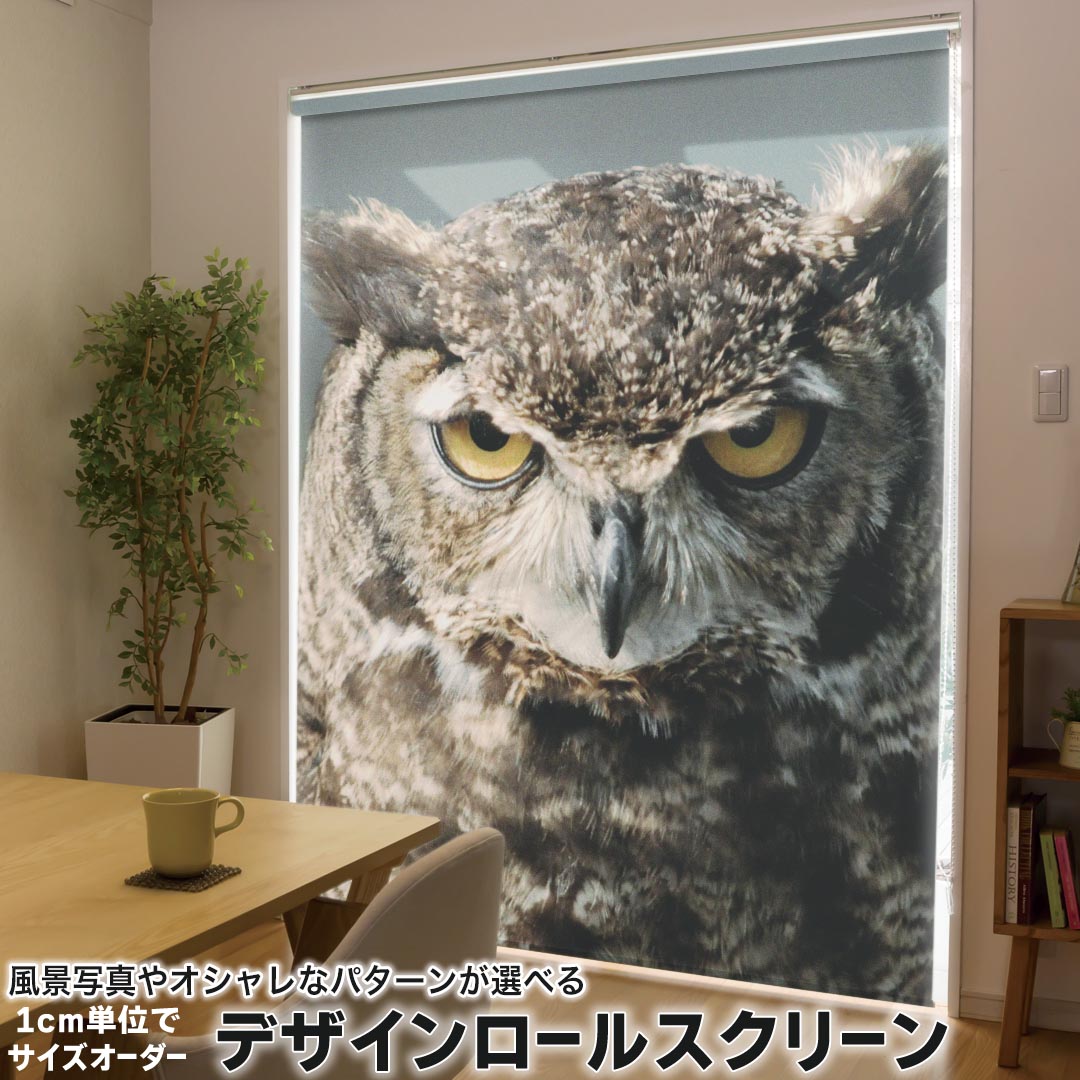 商品特徴・1cm単位でサイズオーダー可能なロールスクリーン・美しい写真やイラスト、パターンからデザインが選べる・操作方法や取付位置が選べるので様々な場面に対応注意事項【色味について】商品画像はサンプルですので、ご覧の環境によっては多少色味に...