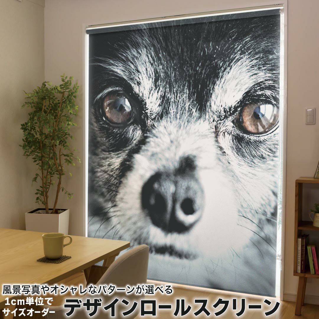商品特徴・1cm単位でサイズオーダー可能なロールスクリーン・美しい写真やイラスト、パターンからデザインが選べる・操作方法や取付位置が選べるので様々な場面に対応注意事項【色味について】商品画像はサンプルですので、ご覧の環境によっては多少色味に...