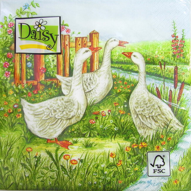 ■生産：EU　ポーランド　 ■素材：パルプ　 ■ランチサイズ：33x33cm■枚数：2枚入りPOL-MAKの紙ナプキン。使用のインクは無害です。色柄がプリントされたペーパーと無地白の3枚重ねになっています。お弁当を持参するOLさんの間で人気...