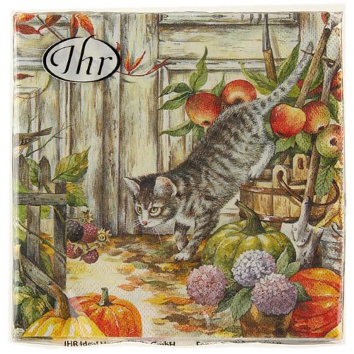 ■生産：ドイツ　 ■素材：パルプ　 ■カクテルサイズ：25x25cm ■枚数：5枚使用のインクは無害です。色柄がプリントされたペーパーと無地白の3枚重ねになっています。お弁当を持参するOLさんの間で人気。下に敷いたりナフキンとして・・・。お...