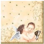 ■生産：ドイツ　 ■素材：パルプ　 ■サイズ：33x33cm■枚数：5枚入りドイツのペーパーデザイン社の素敵なペーパータオル色柄がプリントされたペーパーと無地白の3枚重ねになっています。お弁当を持参するOLさんの間で人気上昇中。下に敷いたり...