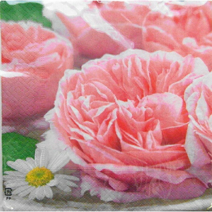 ■生産：ドイツ　 ■素材：パルプ　 ■サイズ：33x33cm■枚数：3枚入りドイツのペーパーデザイン社の素敵なペーパータオル色柄がプリントされたペーパーと無地白の3枚重ねになっています。お弁当を持参するOLさんの間で人気上昇中。下に敷いたり...