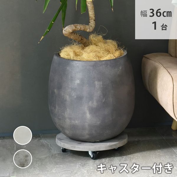 ※北海道・沖縄・離島は別途送料が必要となります。植物が主役になる、静かな存在感 落ち着いた色味のグレー・ホワイトの2色展開。 セメントならではの重厚な質感が、植物の美しさを引き立てます。 お気に入り植物を集めても。 なめらかに動くキャスター...