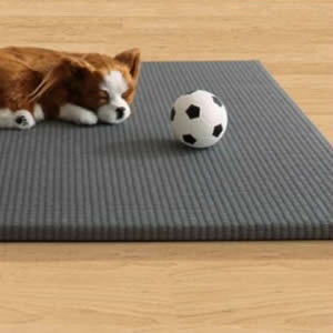 ▼△▼ シリーズ一覧 ▼△▼はっ水国産ユニット toyma トイマ 1枚入りはっ水国産ユニット toyma トイマ 2枚入りはっ水国産ユニット toyma トイマ 4枚入りはっ水国産ユニット toyma トイマ 6枚入りはっ水国産ユニット ...