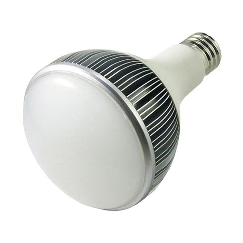 納期について：メーカー直送品(代引き不可) 【鯛勝産業 鯛勝 タイカツ LED投光器 替ランプ LEDランプ TK-LED 450N ライト 照明 作業灯 投光機 投光 工事 工事現場 屋外 屋内 屋内外】 【特徴】 ●約10年も取り替え不...