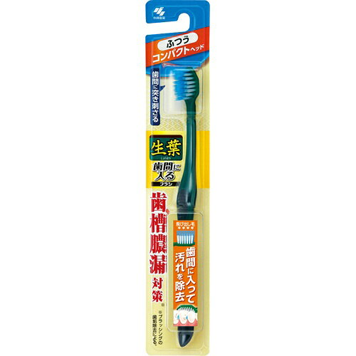 商品名：生葉歯間に入るブラシ　コンパクト　ふつう内容量：1本ブランド：生葉歯間に入るブラシ歯と歯間を同時に磨ける歯槽膿漏対策歯ブラシ●中央の歯間清掃毛が歯間に入り込むので、歯と歯間を同時に磨ける歯槽膿漏対策歯ブラシ●お口が小さめの方でも磨き...