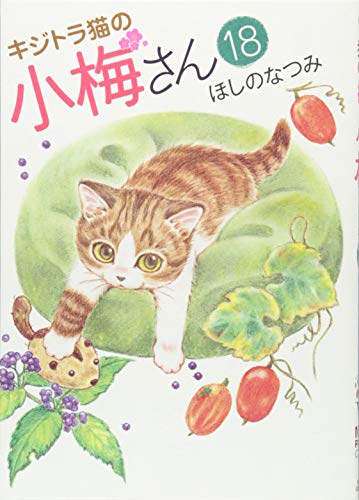 ほしの なつみ【商品状態など】中古品のため商品は多少の日焼け・キズ・使用感がございます。画像はイメージです。記載がない限り帯・特典などは付属致しません。プロダクト、ダウンロードコードは使用できません。万が一、品質不備があった場合は返金対応致...