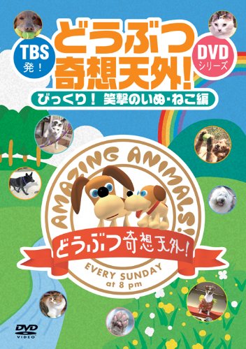 【商品状態など】中古品のため商品は多少のキズ・使用感がございます。画像はイメージです。記載がない限り帯・特典などは付属致しません。デジタルコピー、ダウンロード等は使用できません。万が一、品質不備があった場合は返金対応致します。(管理ラベルは...