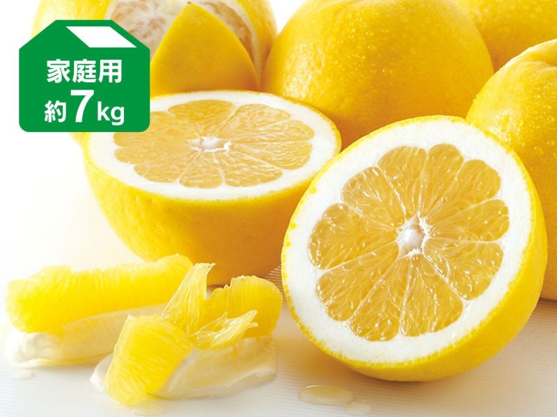 内容量 河内晩柑（ジューシーオレンジ・美生柑) 約7kg （3L～M玉中心　13〜25個程度） 品格 家庭用：バラ詰めだからお得にお届け。ご自宅や親しい方への贈り物に！ 産地 愛媛産 出荷場所 のま果樹園(愛媛県今治市)より発送 出荷日 4...