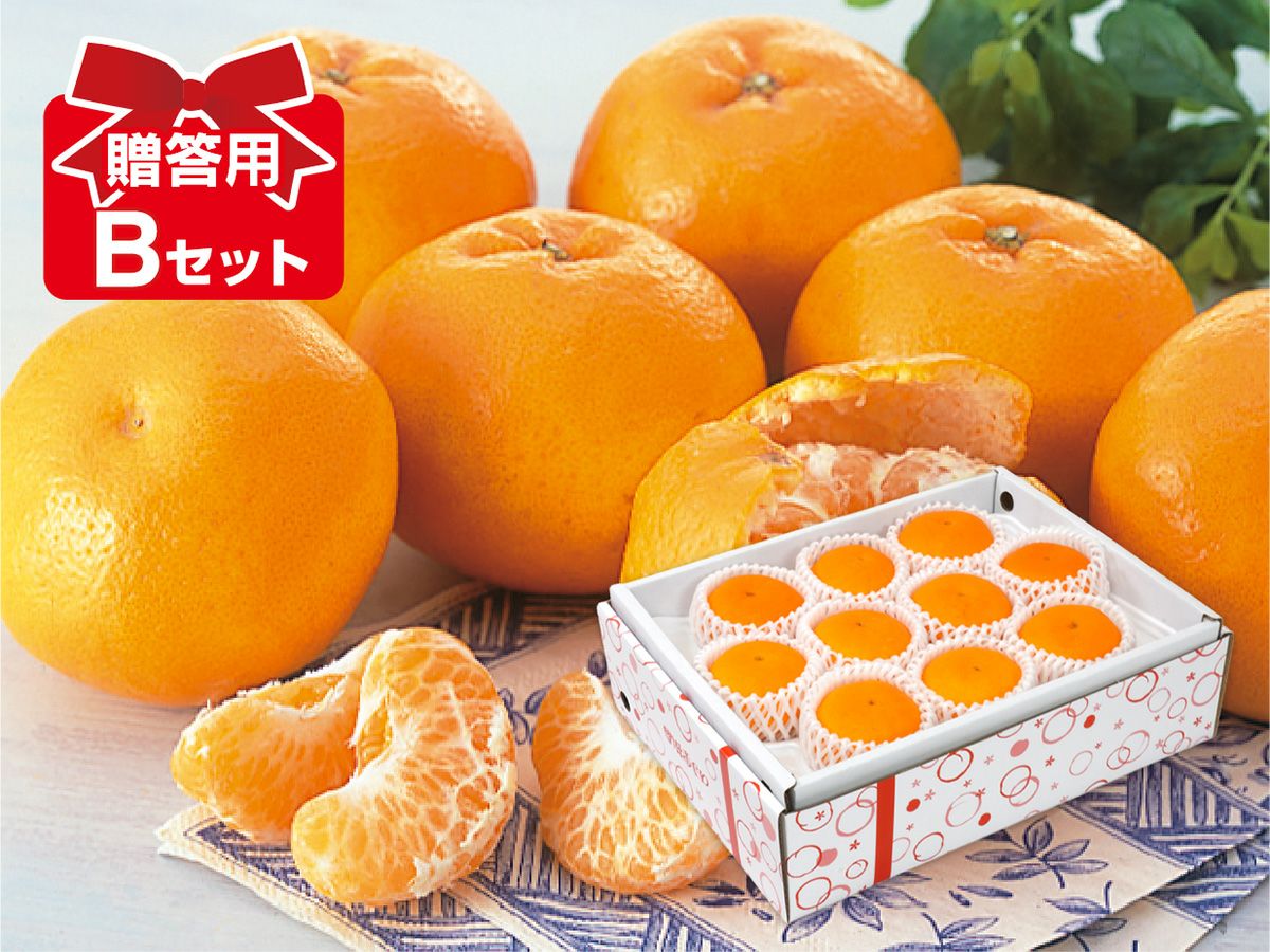 内容量 はるみ 贈答用 8～12個程度 （3L・2L玉中心） 品格 贈答用：1つ1つ手作業によって、並べてお届けいたします。 産地 愛媛・広島(瀬戸内)産 出荷場所 のま果樹園(愛媛県今治市)より発送 出荷日 2月上旬頃～2月下旬頃まで（在...