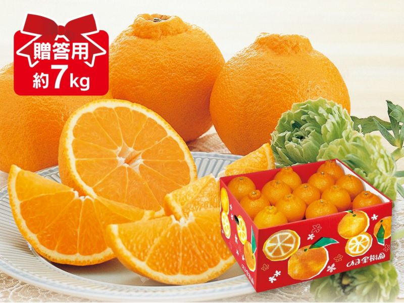 内容量 デコタンゴール 約7kg （3L・2L玉中心　18〜34個程度） 品格 贈答用：1つ1つ手作業によって、並べてお届けいたします。 産地 愛媛産 出荷場所 のま果樹園(愛媛県今治市)より発送 出荷日 2月下旬頃～4月下旬頃まで（在庫限...