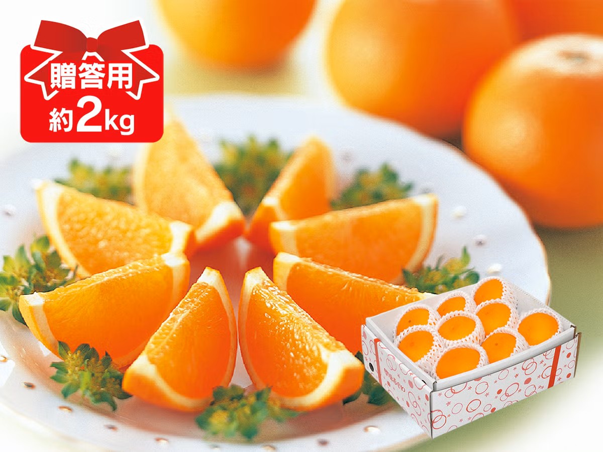 内容量 清見タンゴール (清見オレンジ) 約2kg （3L～L玉中心　5～9個程度） 品格 贈答用：1つ1つ手作業によって、並べてお届けいたします。 産地 愛媛産 出荷場所 のま果樹園(愛媛県今治市)より発送 出荷日 3月下旬頃～5月下旬頃...