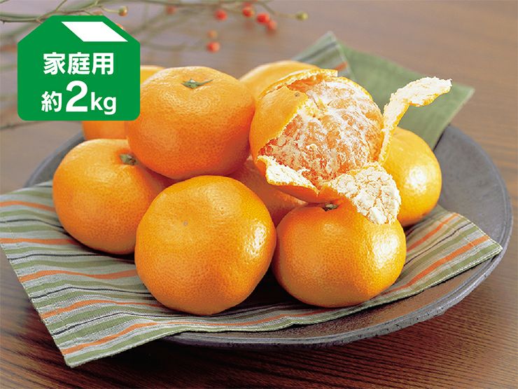 内容量 愛媛みかんL玉 約2kg （13～17個前後） 品格 家庭用： バラ詰めだからお得にお届け。ご自宅や親しい方への贈り物に！ 産地 愛媛産 出荷場所 のま果樹園(愛媛県今治市)より発送 出荷日 11月中旬頃～1月下旬頃まで（在庫限り）