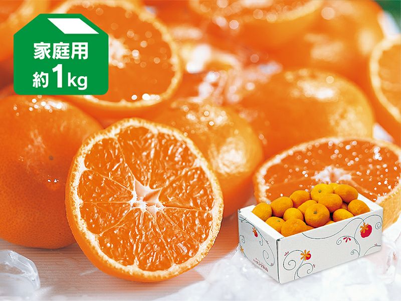 内容量 ハウスみかん 約1kg （10～21個程度　2S～M玉） 品格 家庭用：バラ詰めだからお得にお届け。ご自宅や親しい方への贈り物に！ 産地 大分・愛媛産 中心 出荷場所 のま果樹園（愛媛県今治市）より発送 出荷日 6月下旬頃～9月下旬...