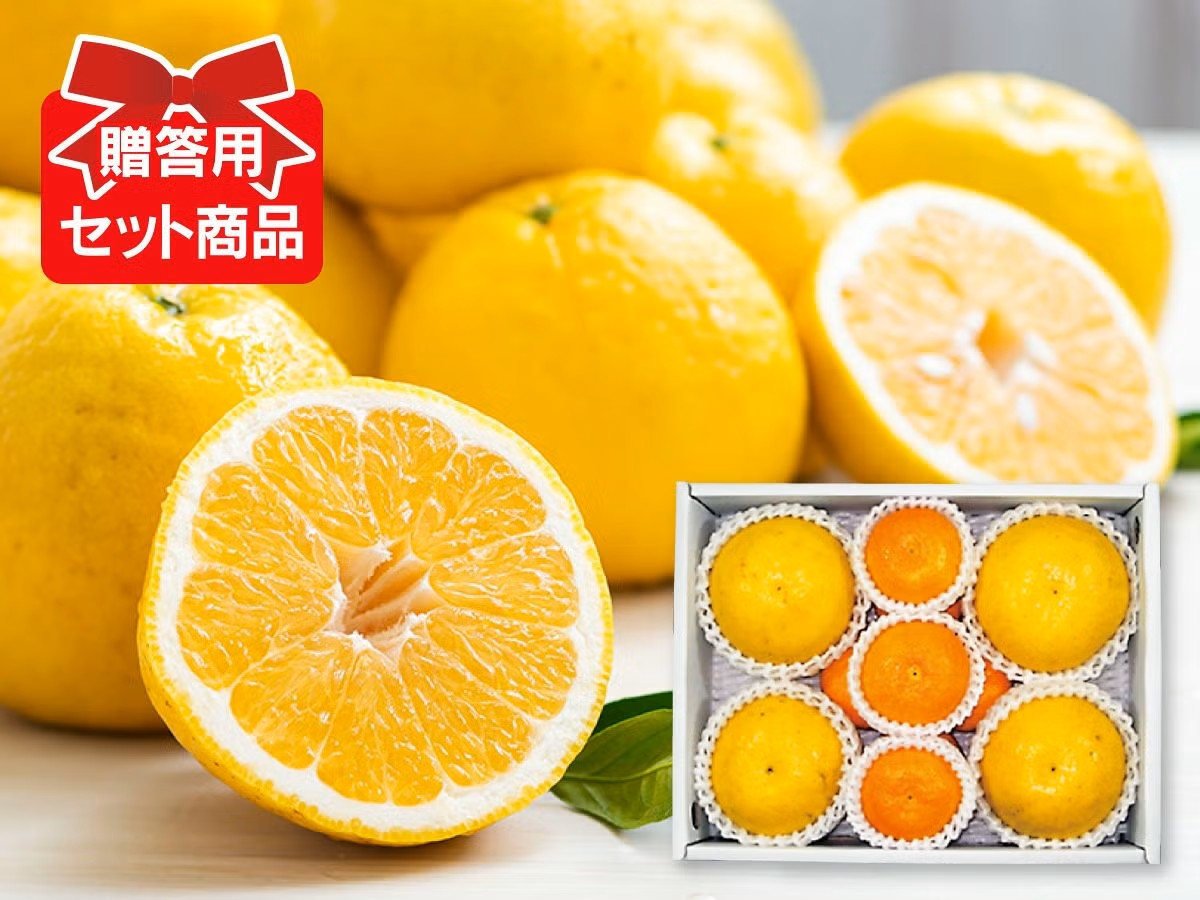 内容量 河内晩柑：4個 ハウスみかん ：7個 キャップ詰 品格 贈答用：1つ1つ手作業によって、並べてお届けいたします。 産地 河内晩柑：愛媛産 ハウスみかん：大分・愛媛産 中心 出荷場所 のま果樹園（愛媛県今治市）より発送 出荷日 6月下...