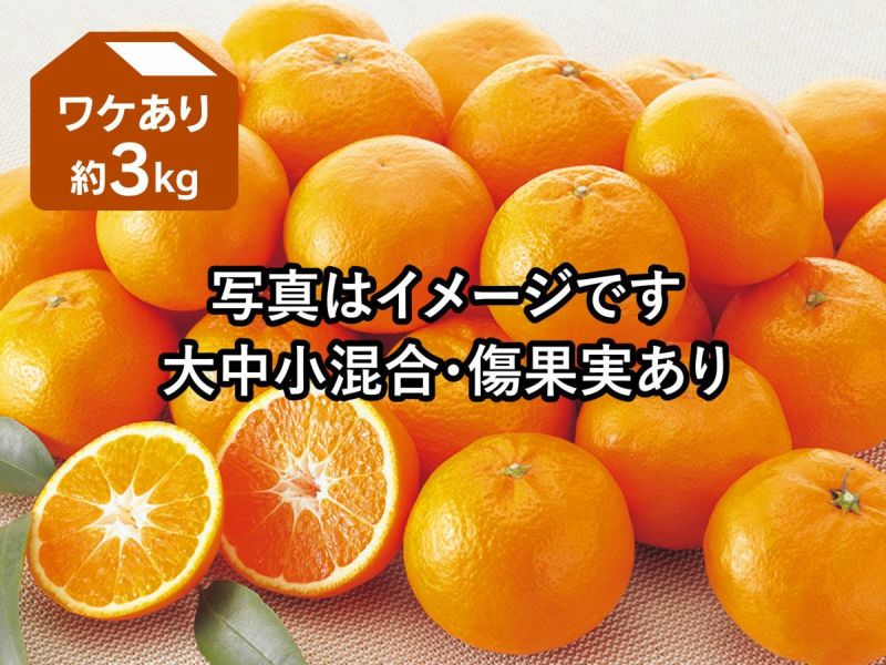 キズはあっても中身はおいしい♪ スッキリした甘さにたっぷりの果汁！ 内容量 はれひめ ワケあり品 約3kg 品格 ワケあり品：大中小混合のキズあり果実をバラ詰めだからお得にお届け。 産地 愛媛産 出荷場所 のま果樹園(愛媛県今治市)より発送...